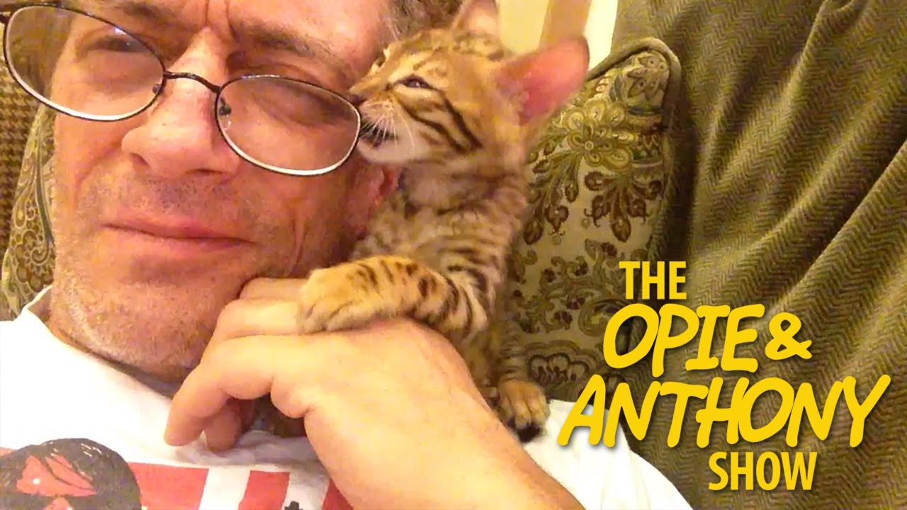 Opie & Anthony: Ant's New Kitten (09/03/13) - YouTube