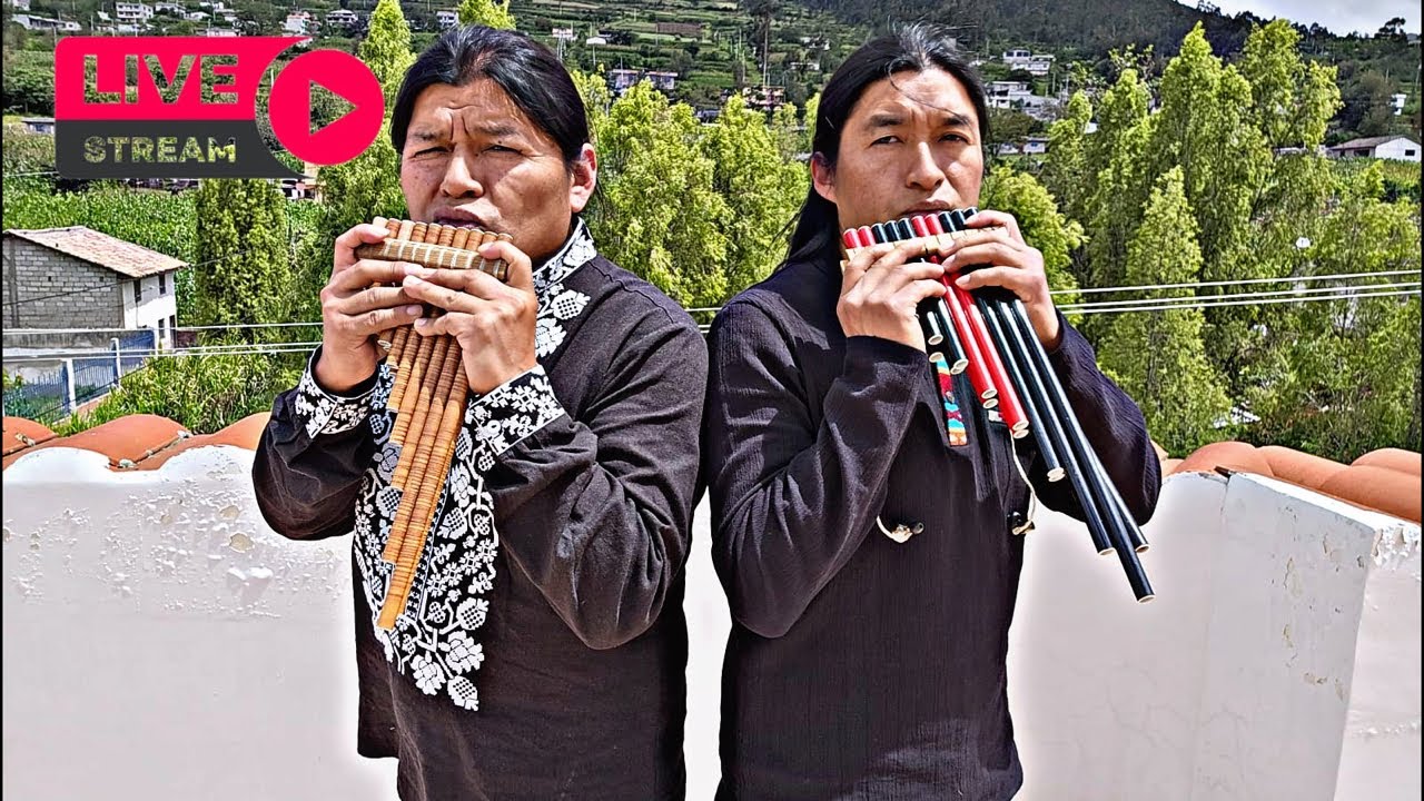 Live music for you with my brother @Luis Wu - YouTube