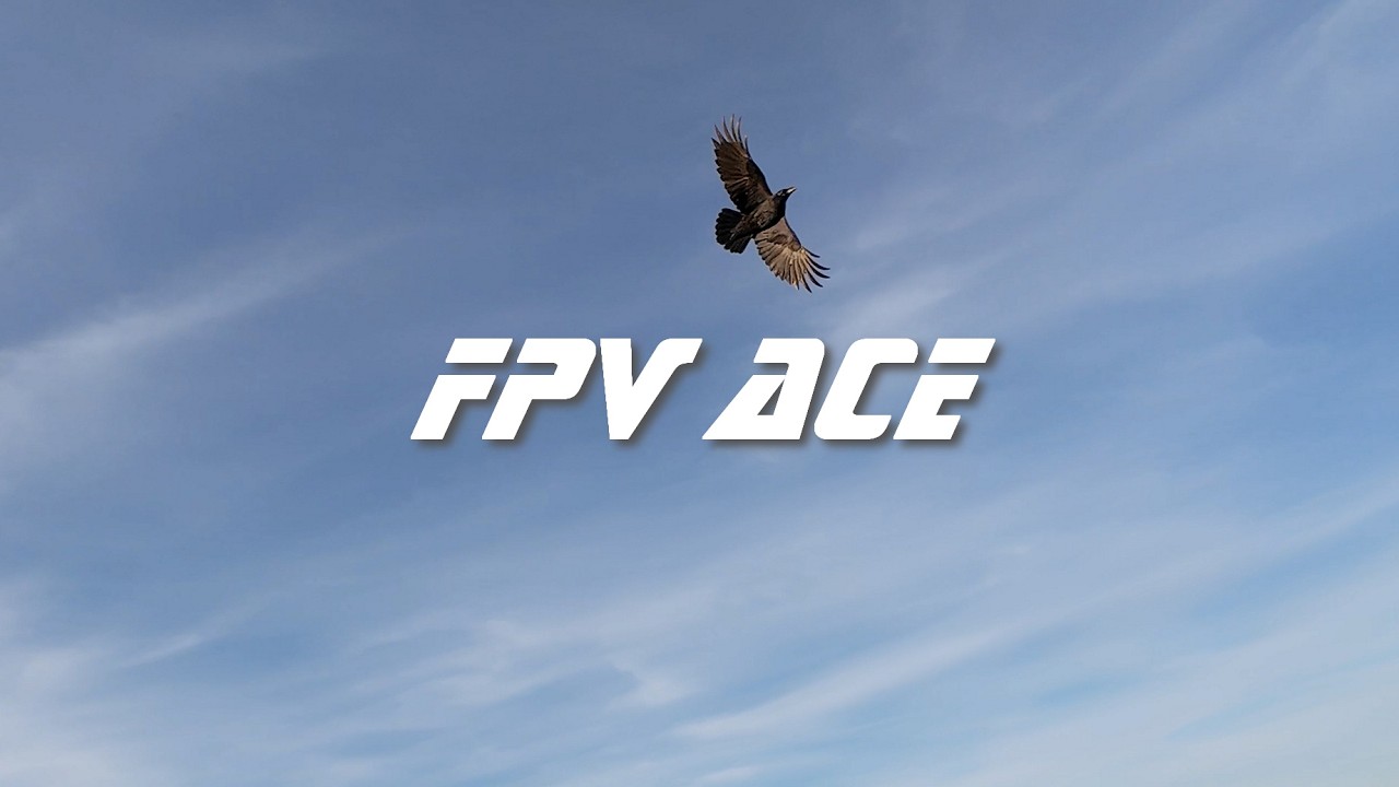 Dji Avata FPV Drone Flying Tree Top NAP Of The Earth With Some ACE ...