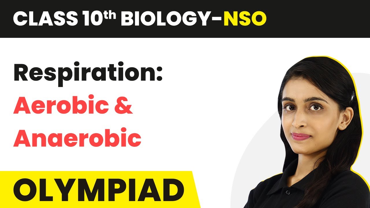 Respiration: Aerobic and Anaerobic - Life Processes | Class 10 NSO ...