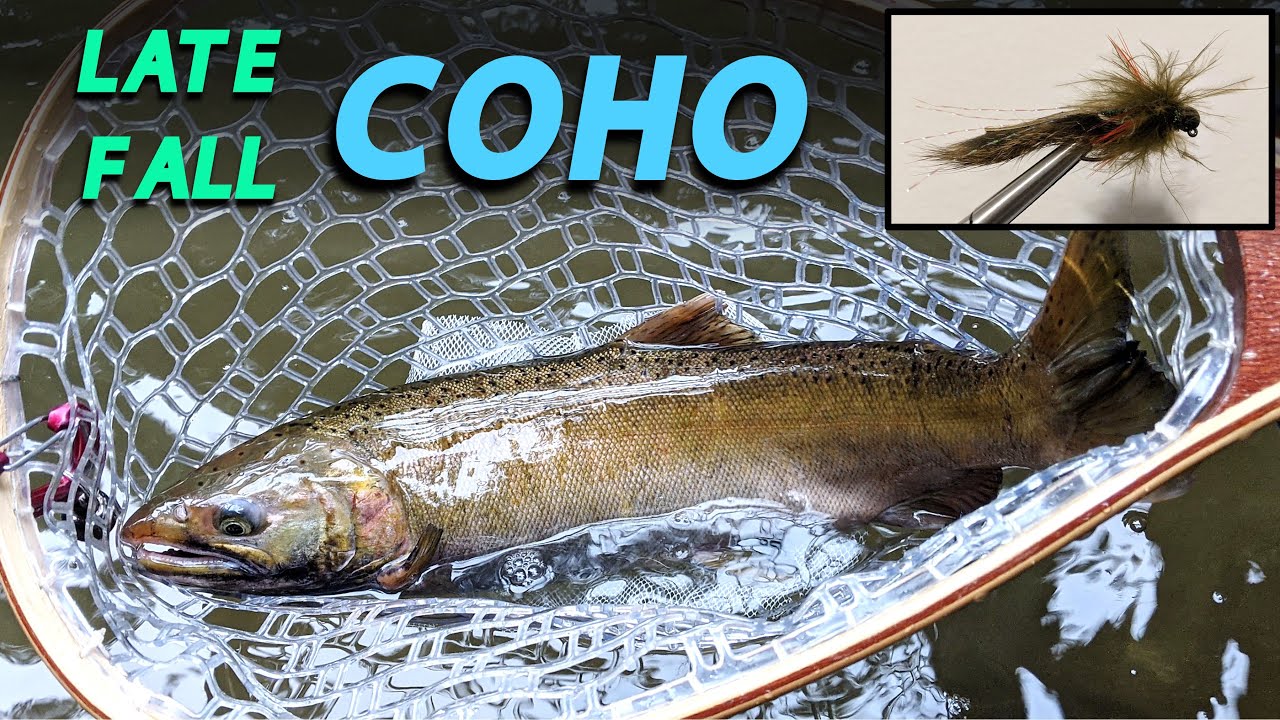 Catching My First COHO SALMON on a Jig Sculpin Pattern [Fly Fishing ...