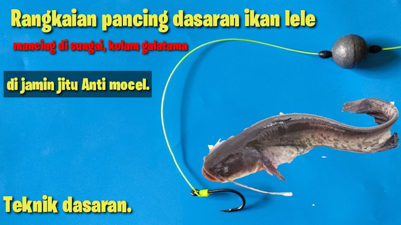 Cara membuat rangkaian pancing ikan lele || Galatama dan sungai - YouTube