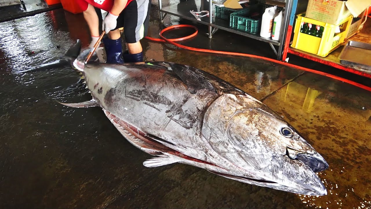 Amazing 307kg Giant Bluefin Tuna Cutting Skills - Taiwan Street Food ...