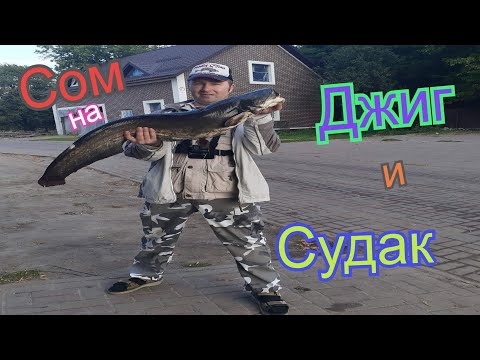 Сом на джиг и судак