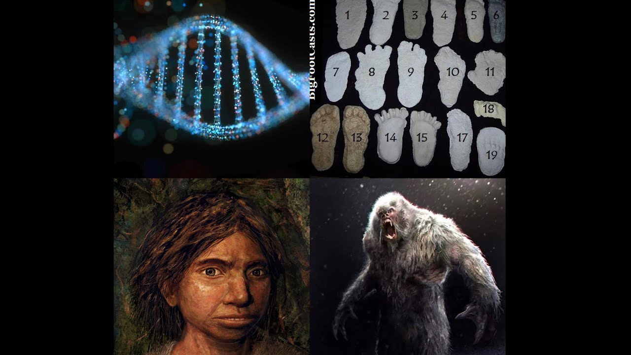 The Origins of Sasquatch: Scientific Explanations - YouTube
