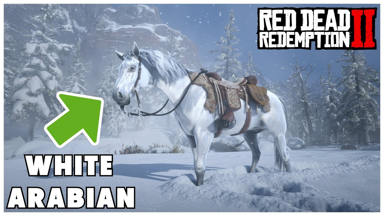 Red Dead Redemption 2 - Finding the White Arabian Horse - YouTube