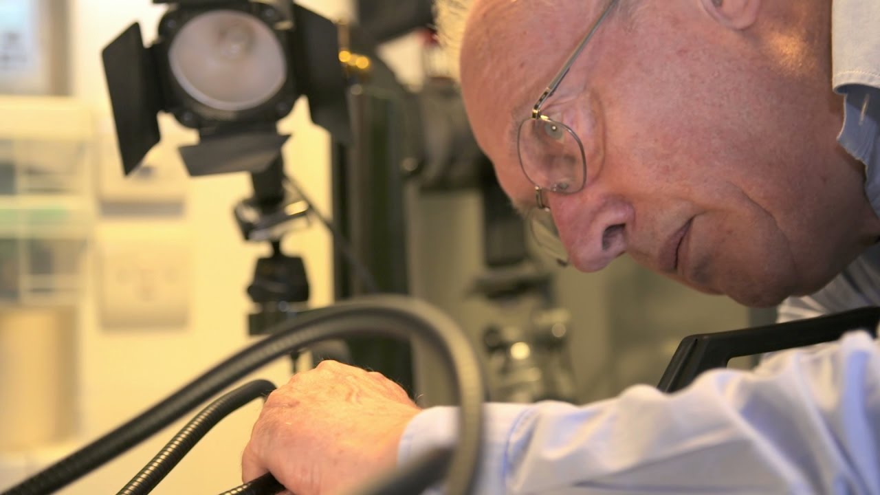 Eureka Moments: Professor Malcolm Burrows - YouTube