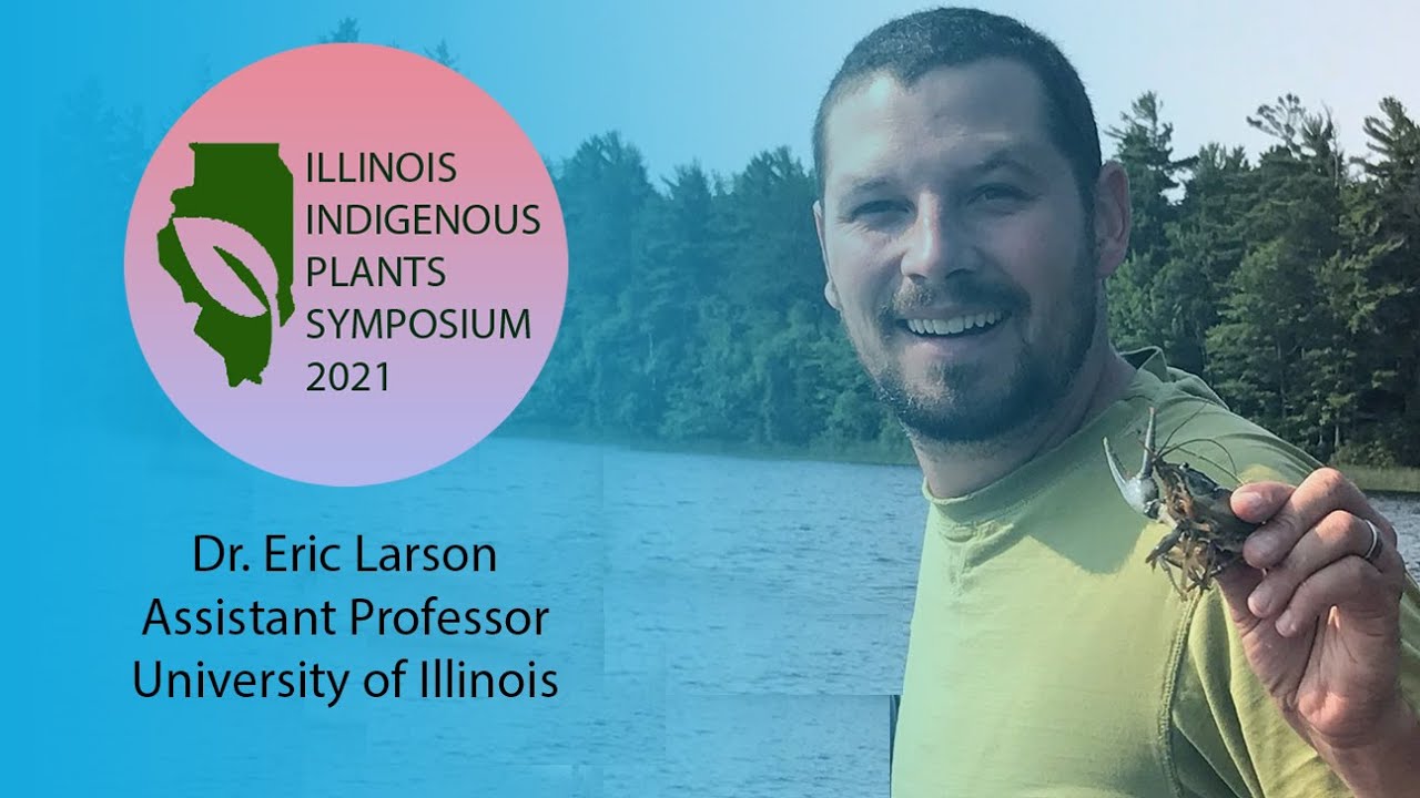 Dr. Eric Larson on windstorm damage on invasive plants - YouTube