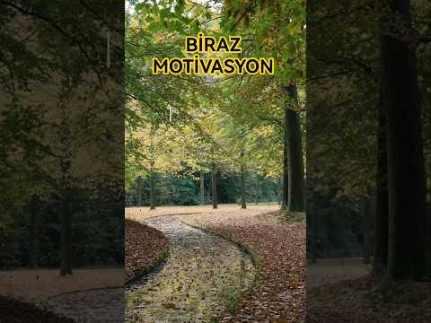 Hayatınızı Değiştirecek Sözler 25! ​#felsefe #motivasyon #ozlusozler