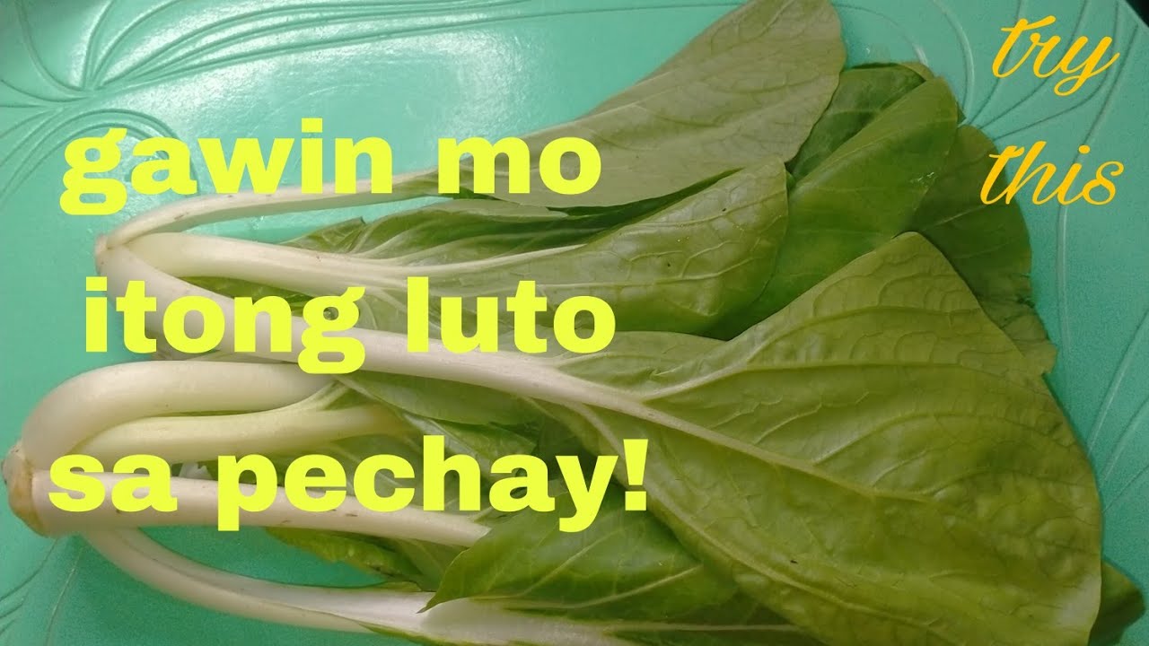 GANITO ANG MASARAP NA LUTO SA PECHAY/MURA PERO MASARAP NA ULAM - YouTube