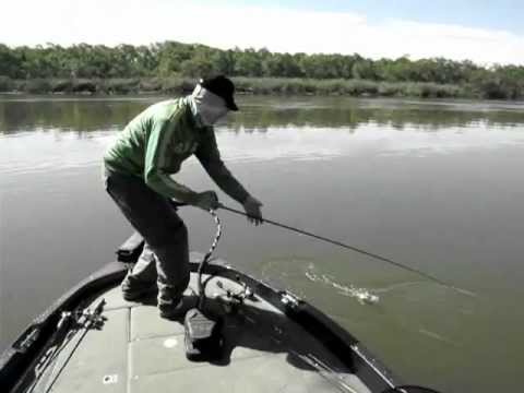 Pesca de robalos no fundo - YouTube