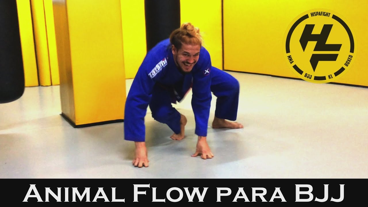BJJ 🥋 | Animal Flow para Jiu Jitsu - ¡Especial 10K Suscriptores! - YouTube