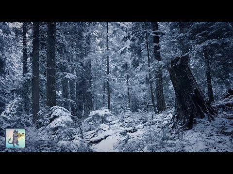 Beautiful Falling Heavy Snow & The Best Relaxing Meditation Music