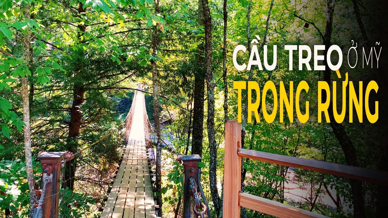 Cầu treo trong rừng Fall Creek Falls Tennessee - Du lịch Mỹ với Andy ...