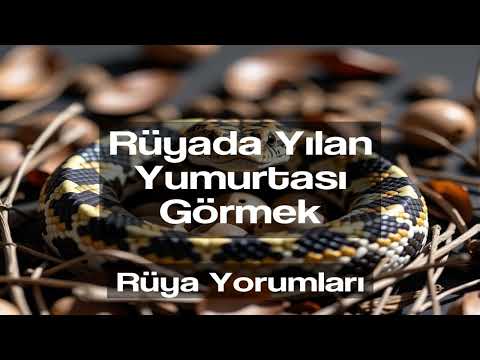 Rüyada Yılan Yumurtası Görmek rüyasının tabiri nedir ve ne anlama gelir?