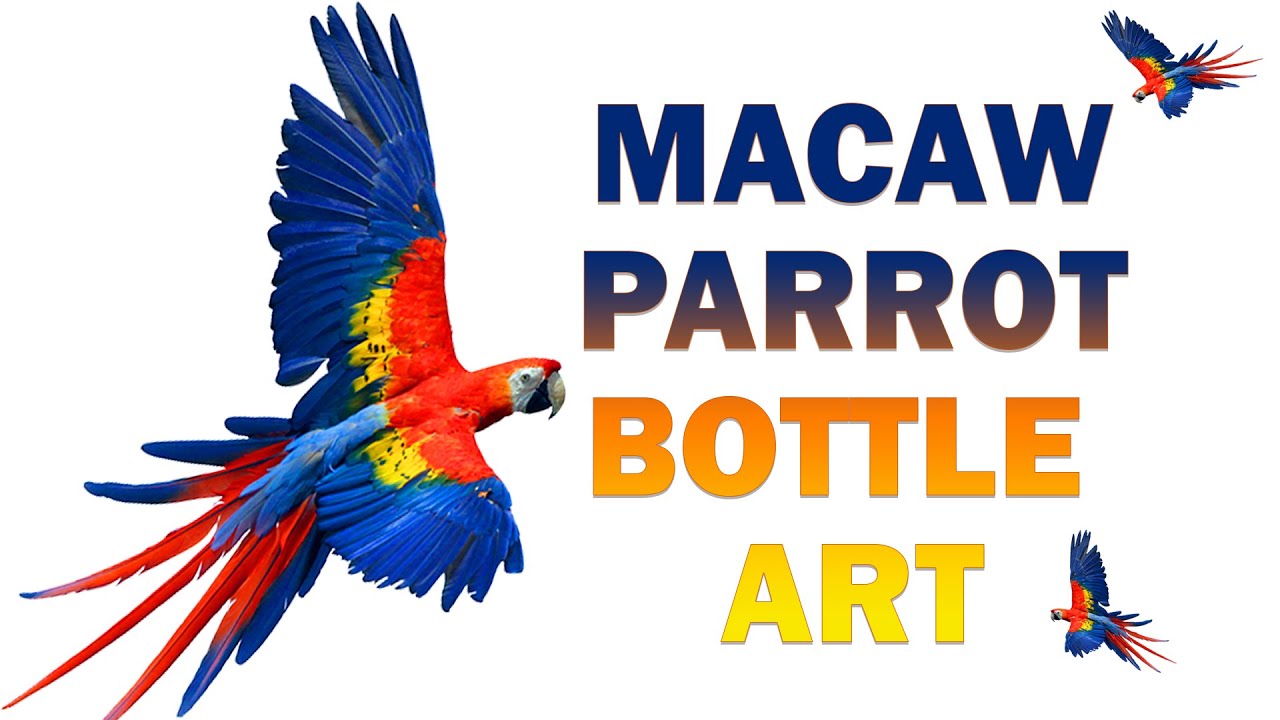 Colorful Macaw Parrot Bottle Art / Macaw Parrot / Bottle art with ...