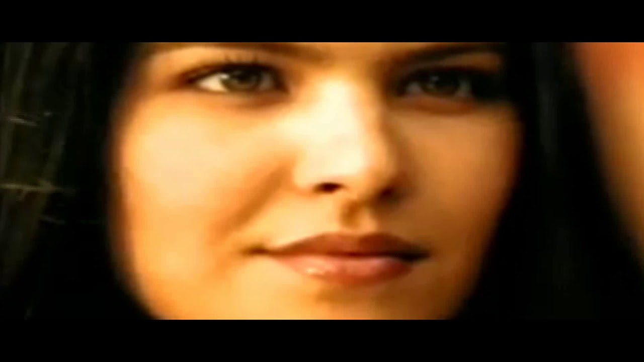 Sobreviviré.- Litzy Telenovela Daniela - YouTube