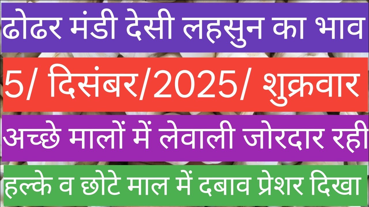 ढोढर मंडी आज का लहसुन का भाव 🧄// dhodhar mandi Aaj Ka Lahsun Ka Bhav 🧄 ...