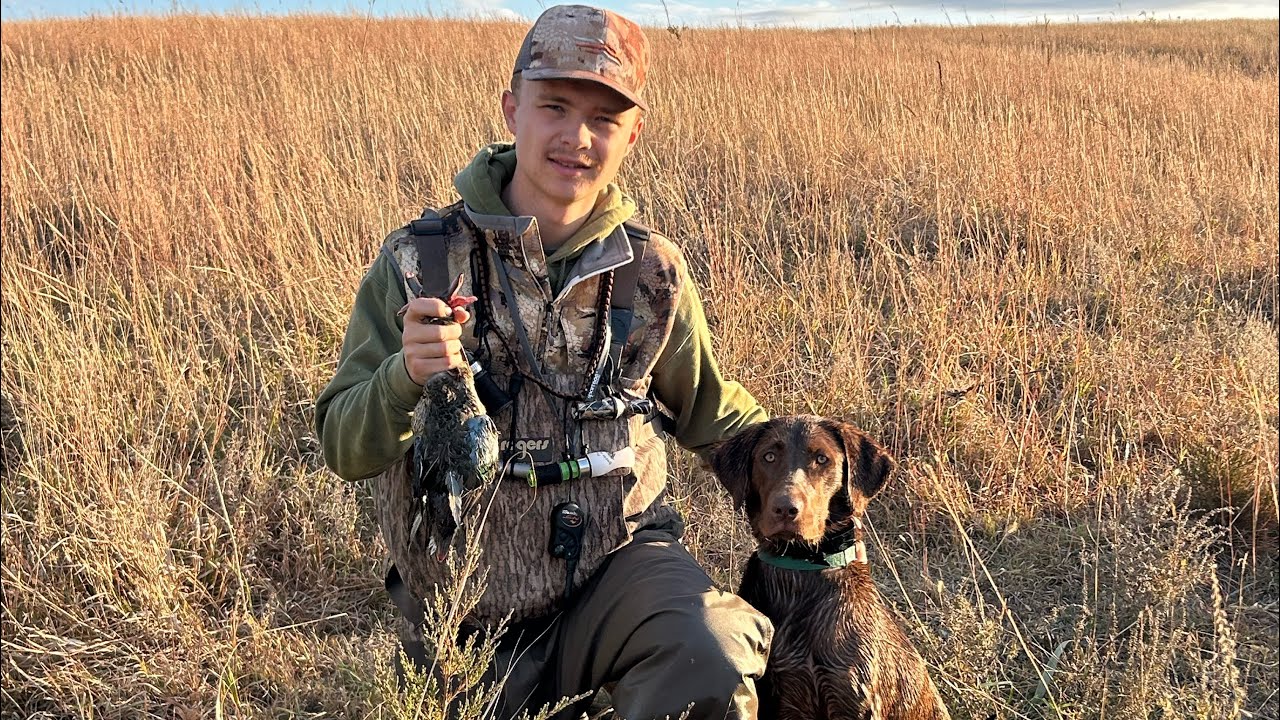 Teal hunting a pond in a ravine!! #huntingthe308 #hunting # ...