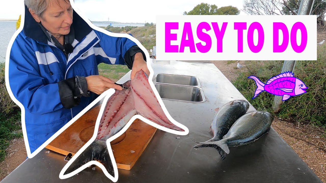Filleting Australian Salmon fish - Step by Step - YouTube