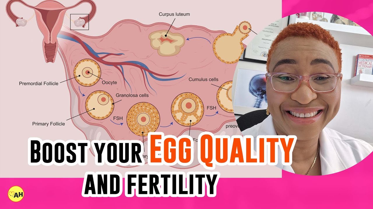 How to BOOST Your Egg Quality 🤰🏾 - YouTube