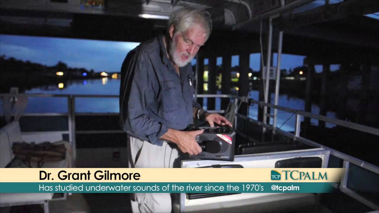 Catfish sounds - YouTube