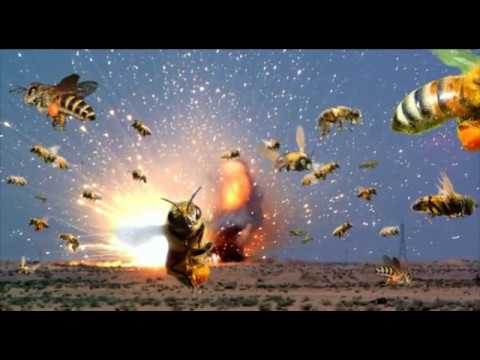 DYNABEE - BOOGIE - (Electro House) Awesome Dance Music - YouTube