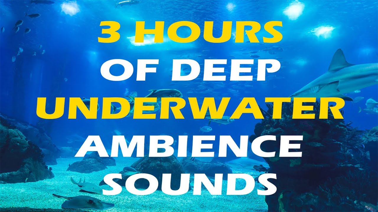 DEEP SEA | SOUNDSCAPE | 3 HOURS | UNDERWATER | AMBIENCE | SOUNDS - YouTube