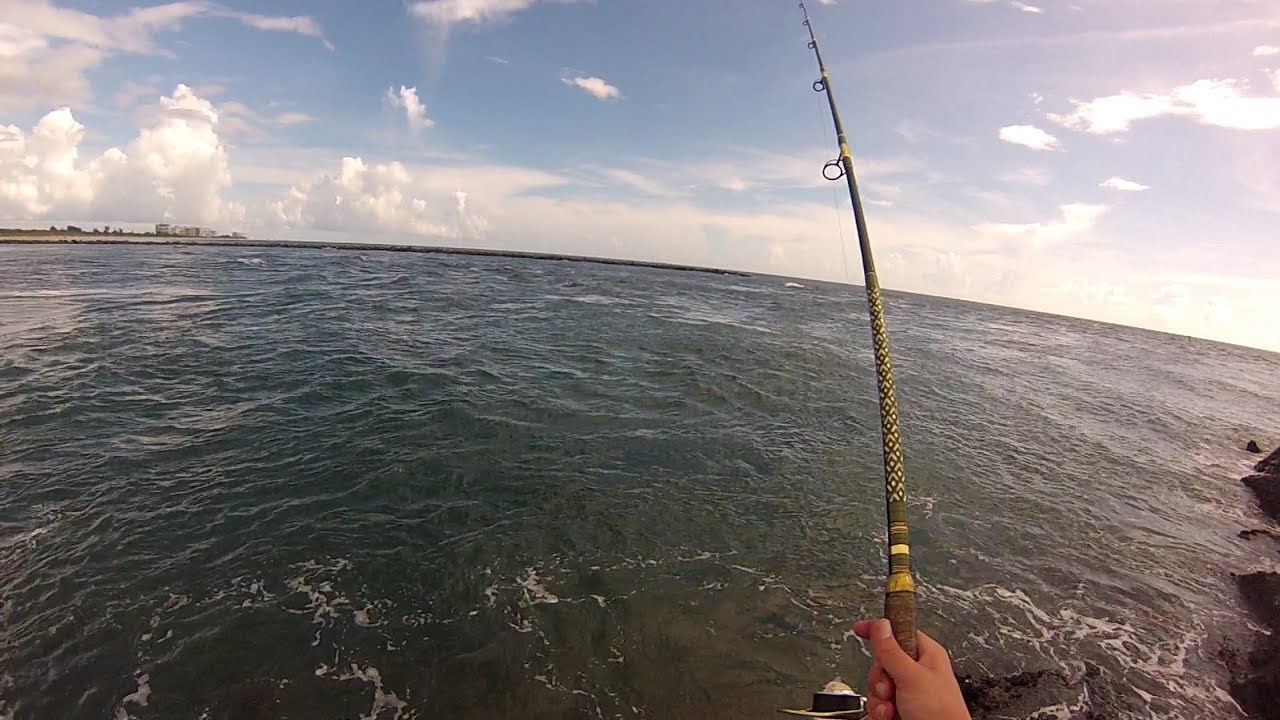 Jetty Fishing Catching Parrot Fish Mangrove Snapper Blue Fish - YouTube