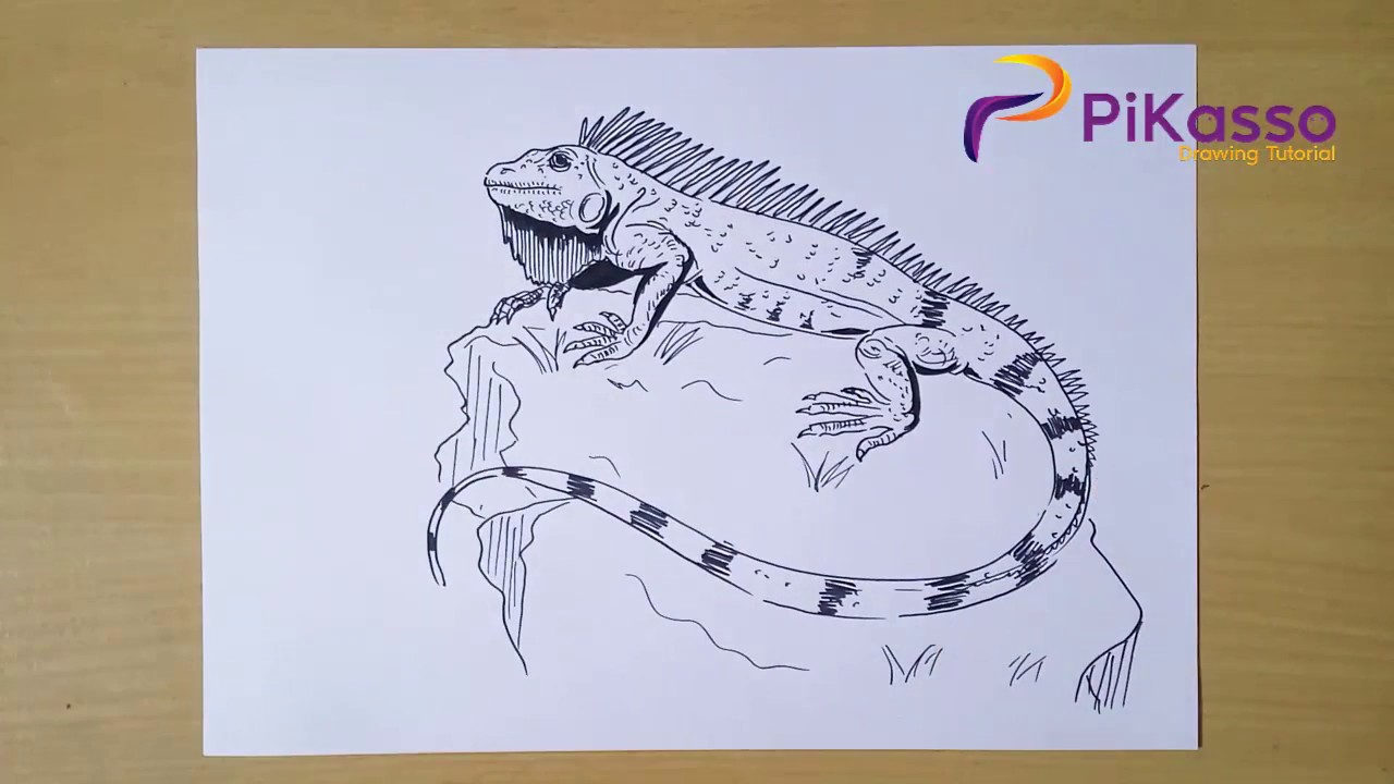 How to Draw Iguana step by step - YouTube