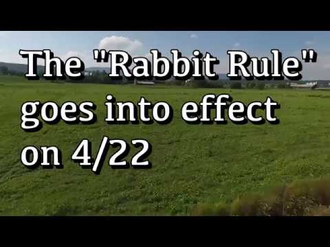 Rabbit Rule - YouTube