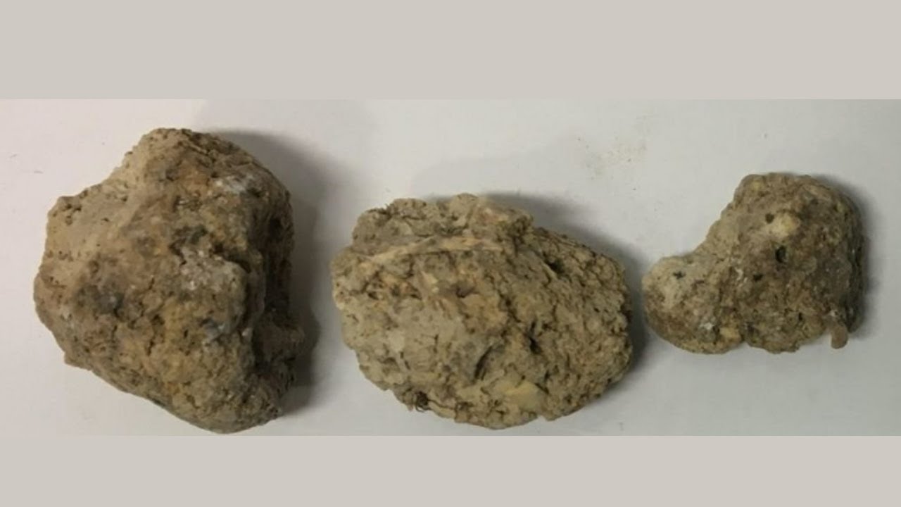 Ancient poop reveals what the builders of Stonehenge liked to eat - YouTube