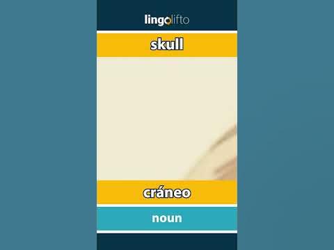 🇬🇧🇪🇸 skull - cráneo : vocabulary builder : learn English : aprendamos ...