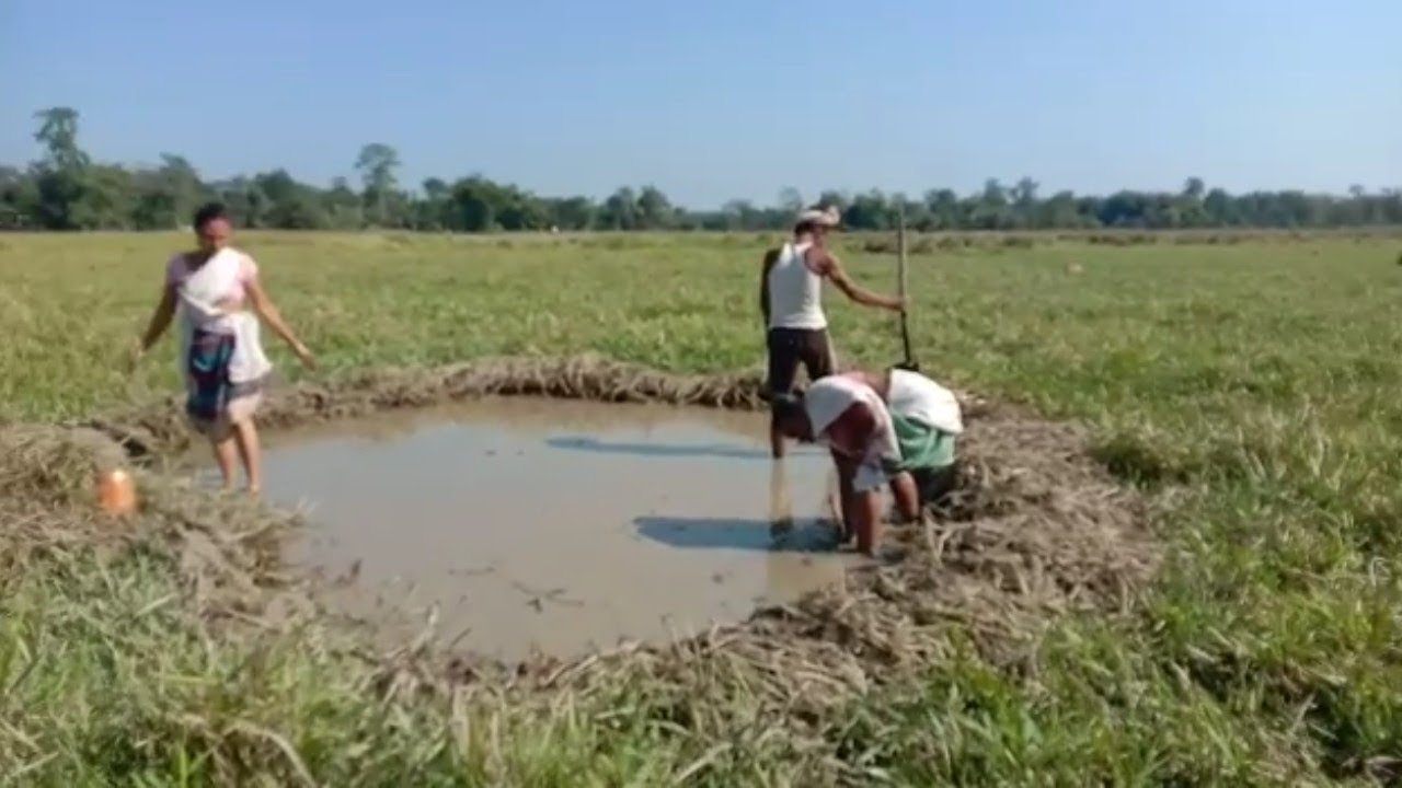 আজি মই কি কাণ্ড কৰিলোঁ চাওঁক।। Gitika's vlog. - YouTube