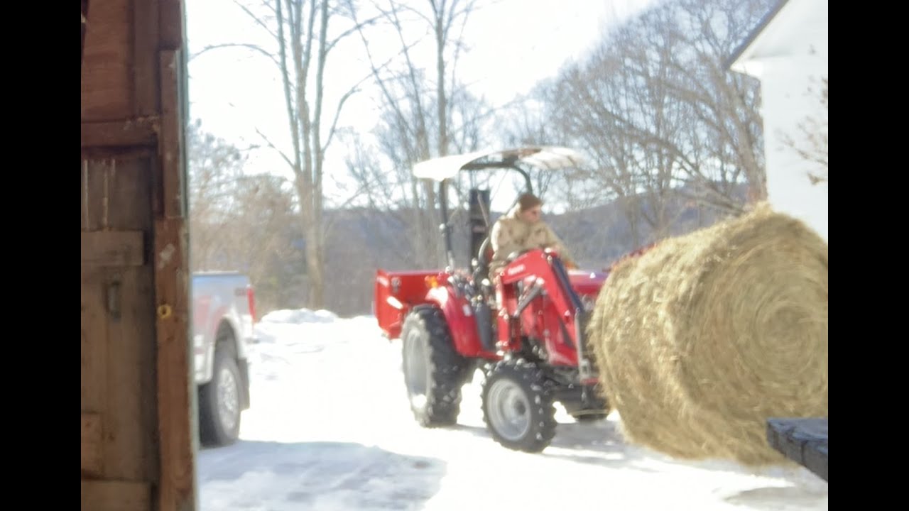 Using my MAHINDRA 1635 to Feed Cows and Sheep - YouTube