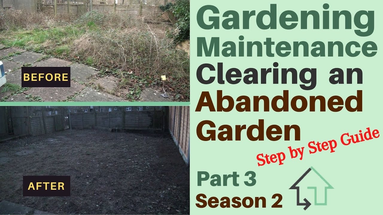 Gardening Maintenance | Clearing and Tidying up an Abandoned Garden ...