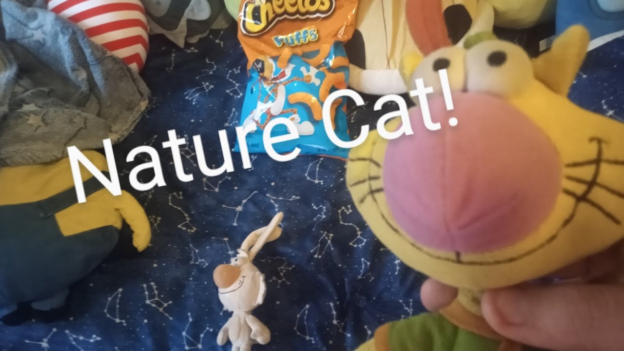 SDM Movie: Nature Cat! - YouTube