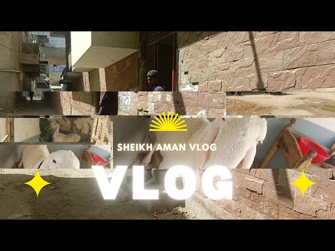 3rd Ramzan Vlog Dumbe Ko Nehlaya Sheikh Aman vlog - YouTube