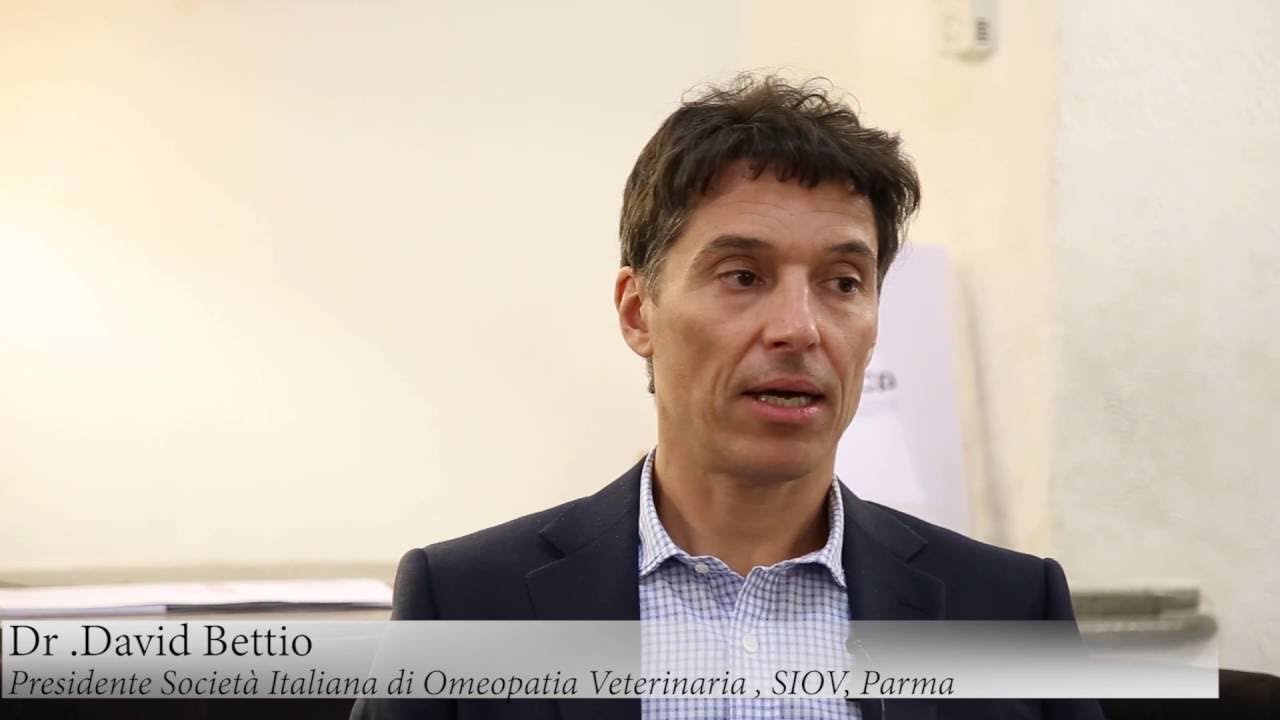 Simposio Nazionale 2016. Intervista al Dott. David Bettio - YouTube