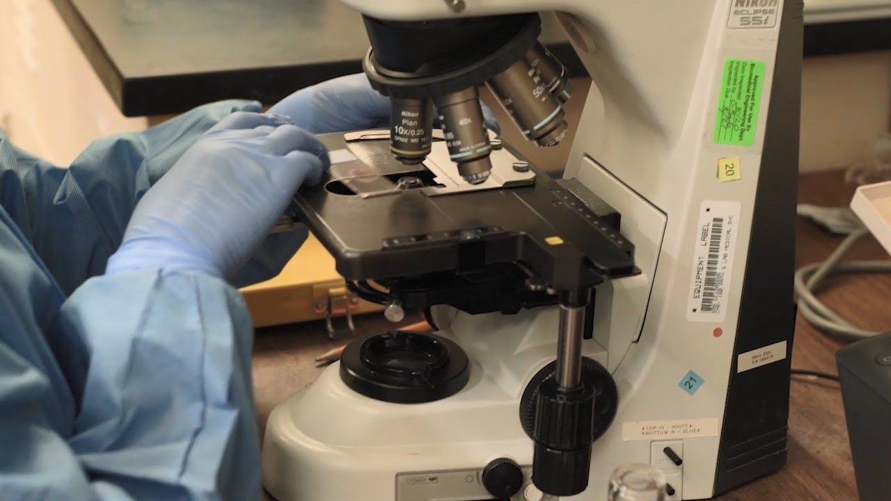 VA Careers - Microbiology/Molecular Medical Technologist - YouTube