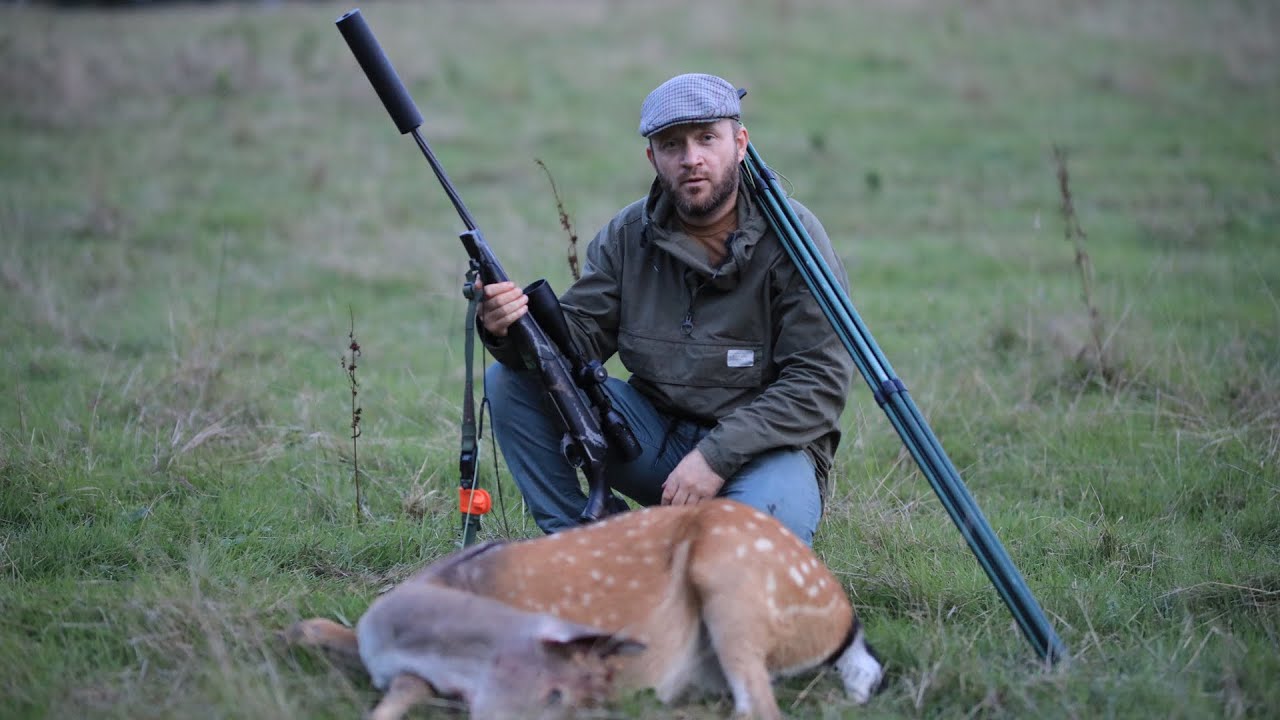 Fallow deer stalking - YouTube