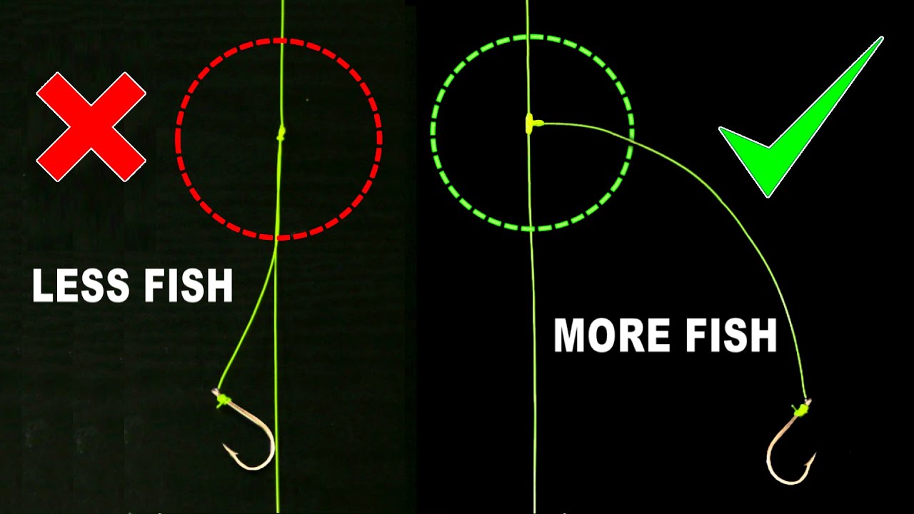 How To Tie Correct Fishing Knot. Tangle Free | कैसे मछली पकड़ने गाँठ ...