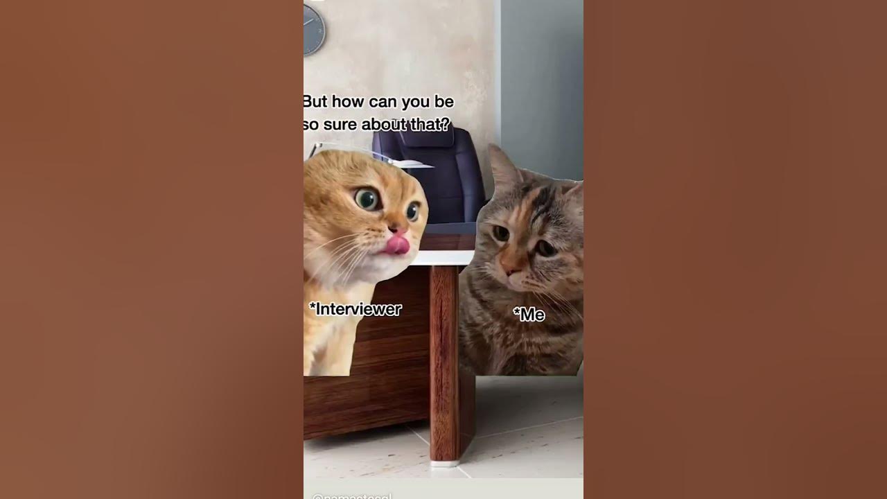 How To Gain Experience In Sql 👍 Coding Coderslife Codingchallenges Programming Memes