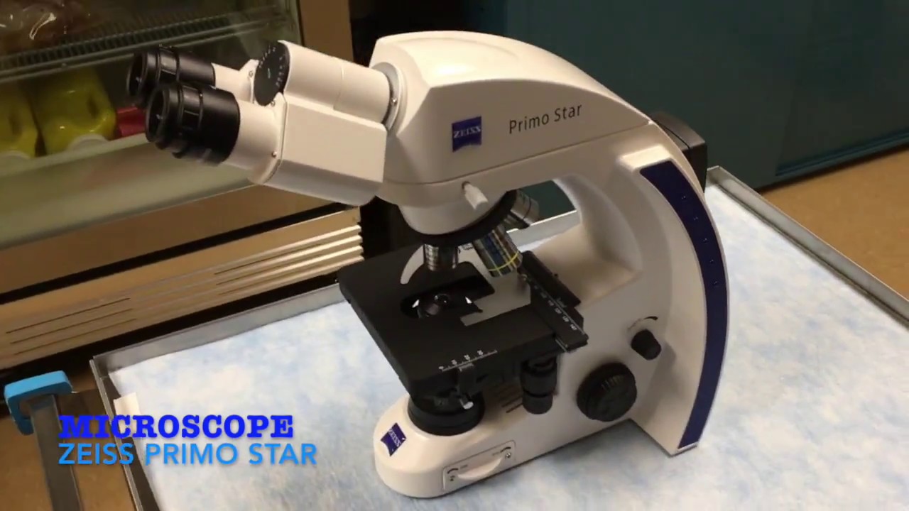 Microscopie 1 : Les parties du microscope - YouTube