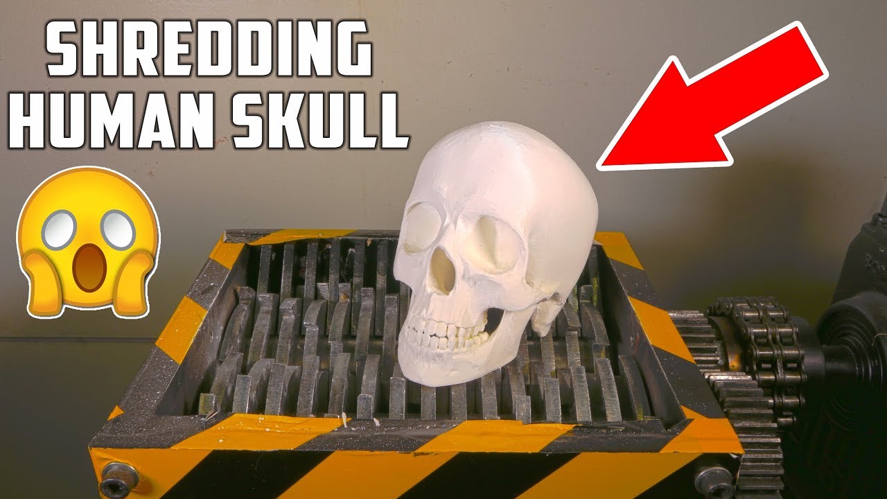 Shredding Human Skull - YouTube