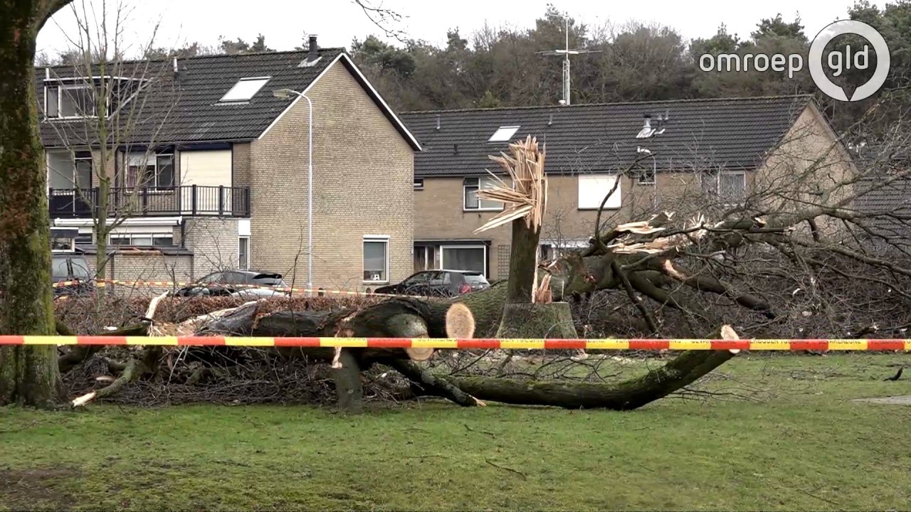 Wervelwind, windhoos, valwind of windvlaag, wat was het nou? - YouTube
