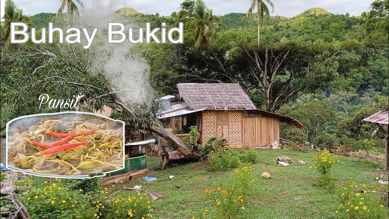 Ang Aking Simpleng Pamumuhay Dito sa Bukid ng Bohol | Nagluto ako ng masarap na Pansit @AmigaCha ...