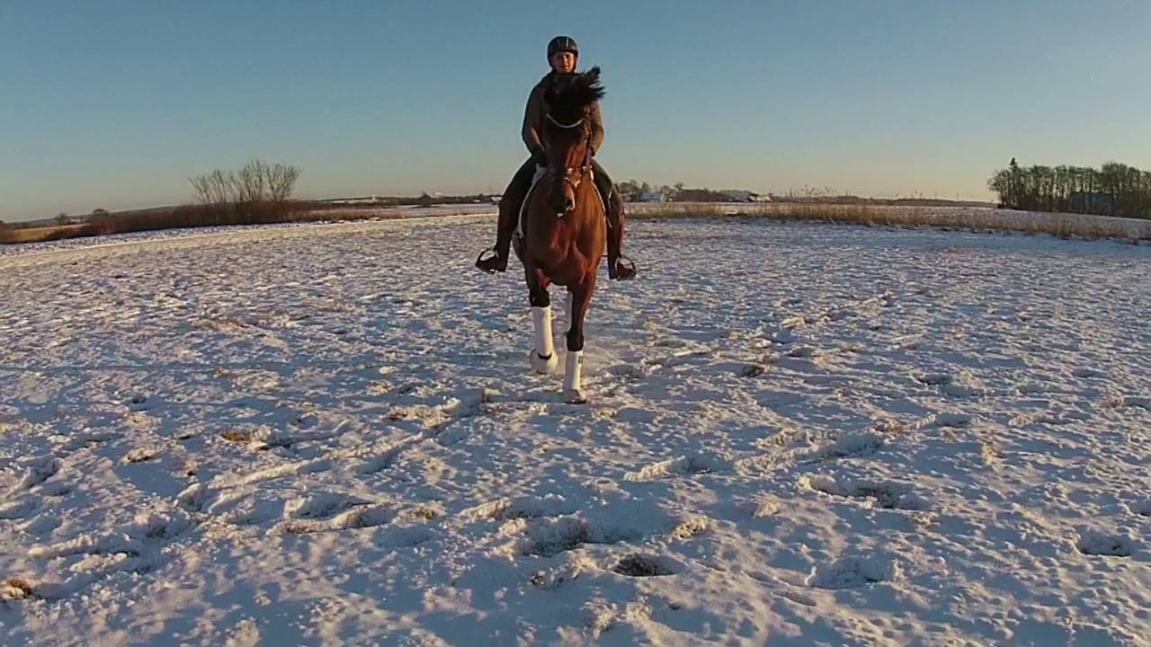 Elenore Simberg - YouTube