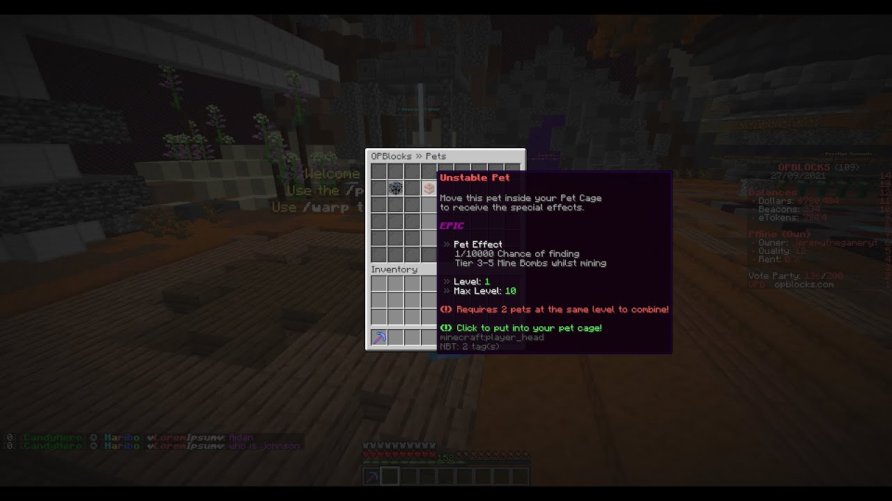 Getting A Pet On Opblocks prison - YouTube