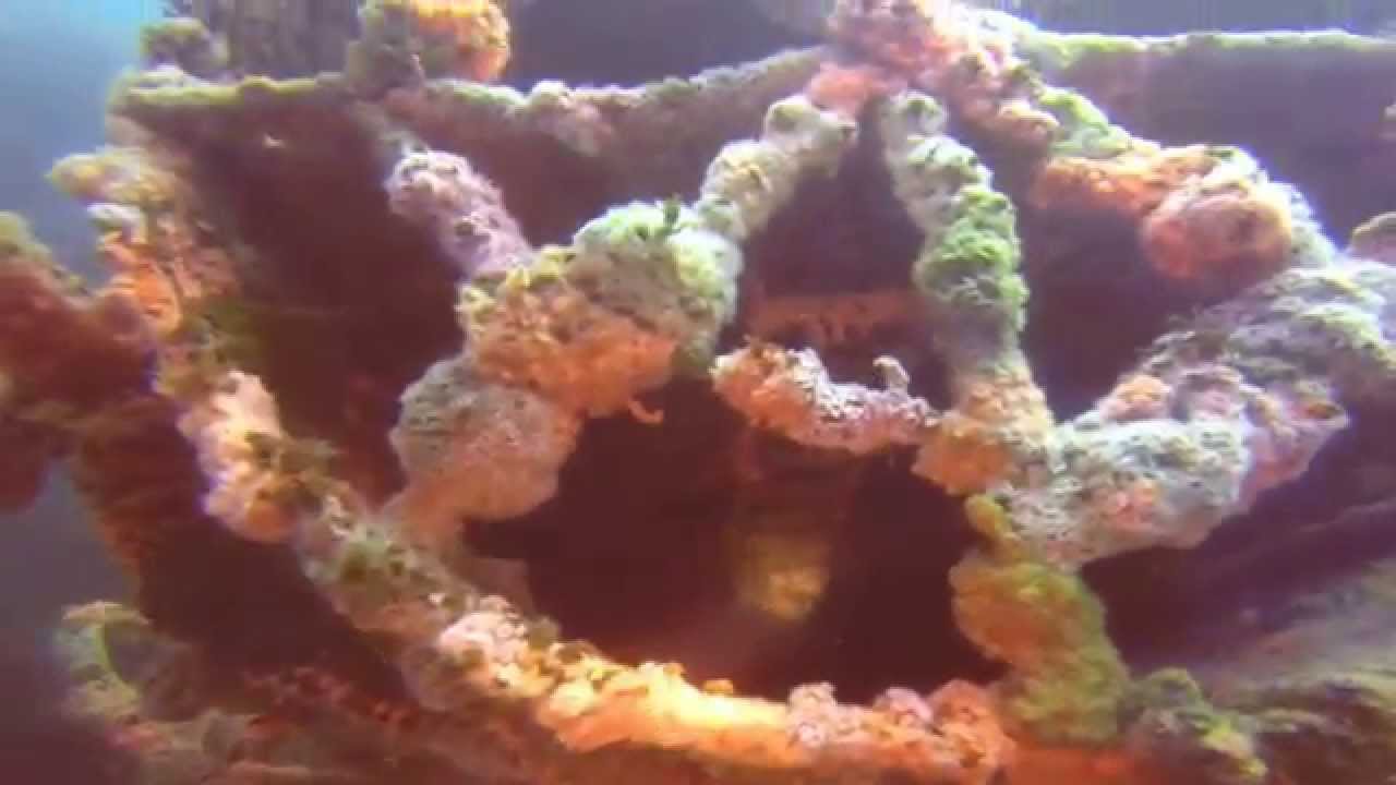 The Yukon Wreck Dive - San Diego - YouTube